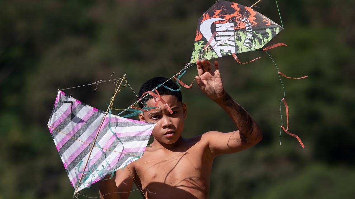 Brazil eyes ban for deadly fighting kites | newscentermaine.com