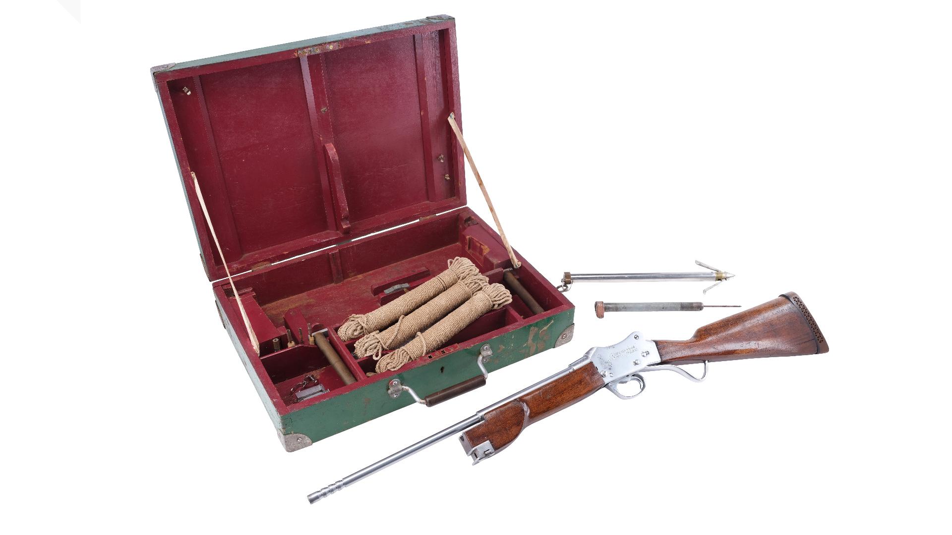 Rare 'Jaws' props resurface after decades in new auction ...