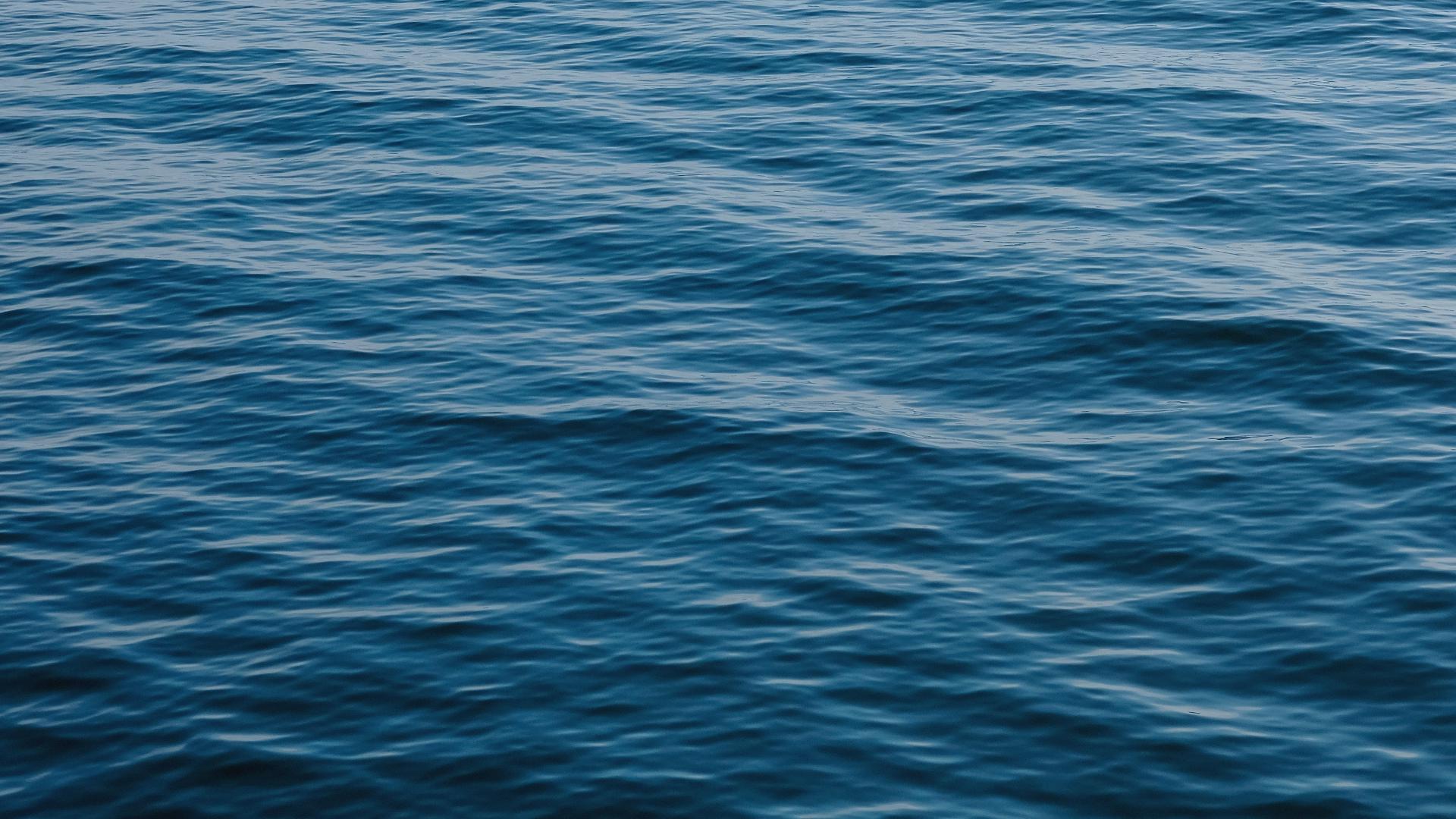 Rare black seadevil anglerfish filmed near surface for first time ...