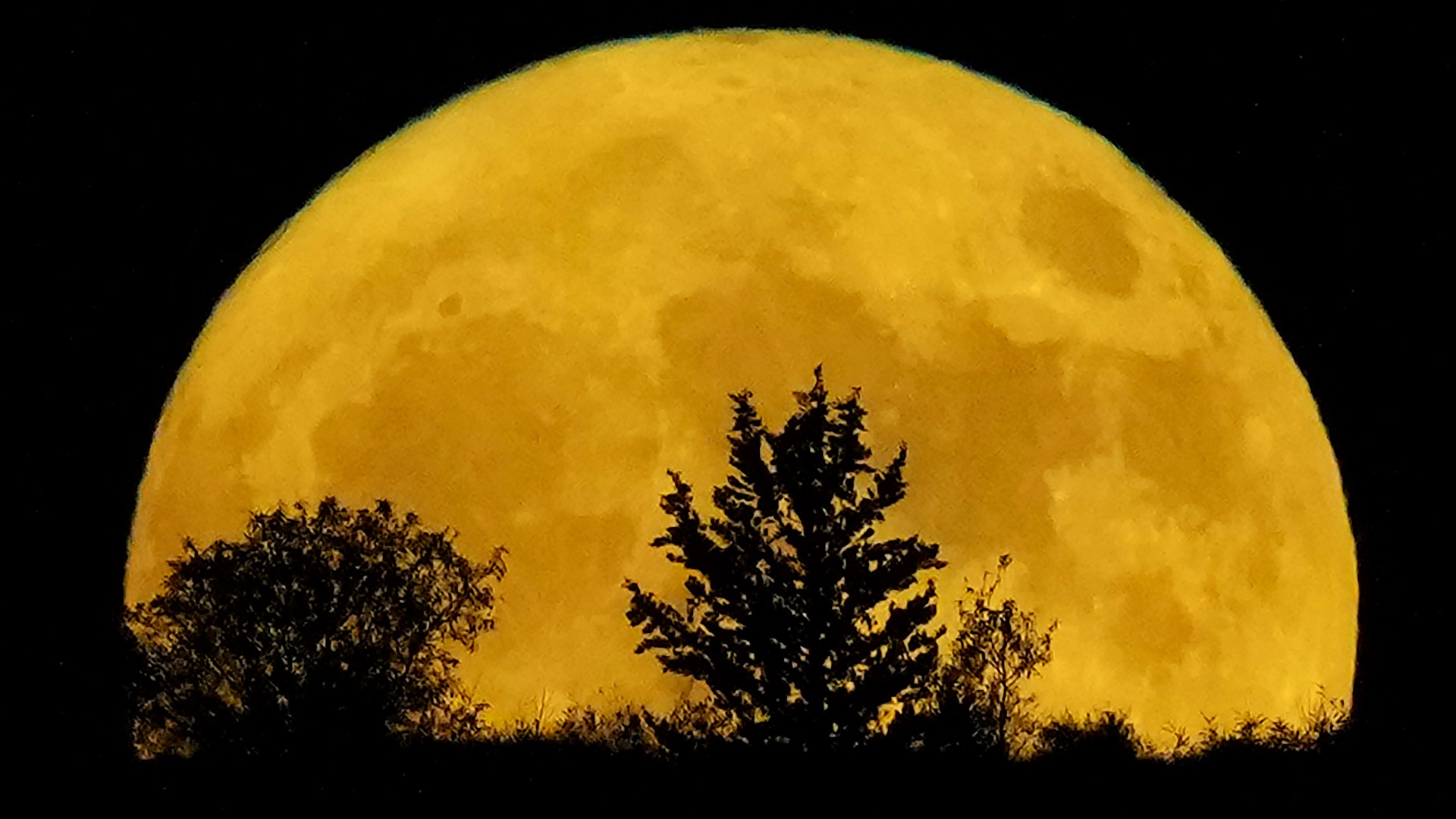When are the August 2023 supermoons, including 'super blue moon ...