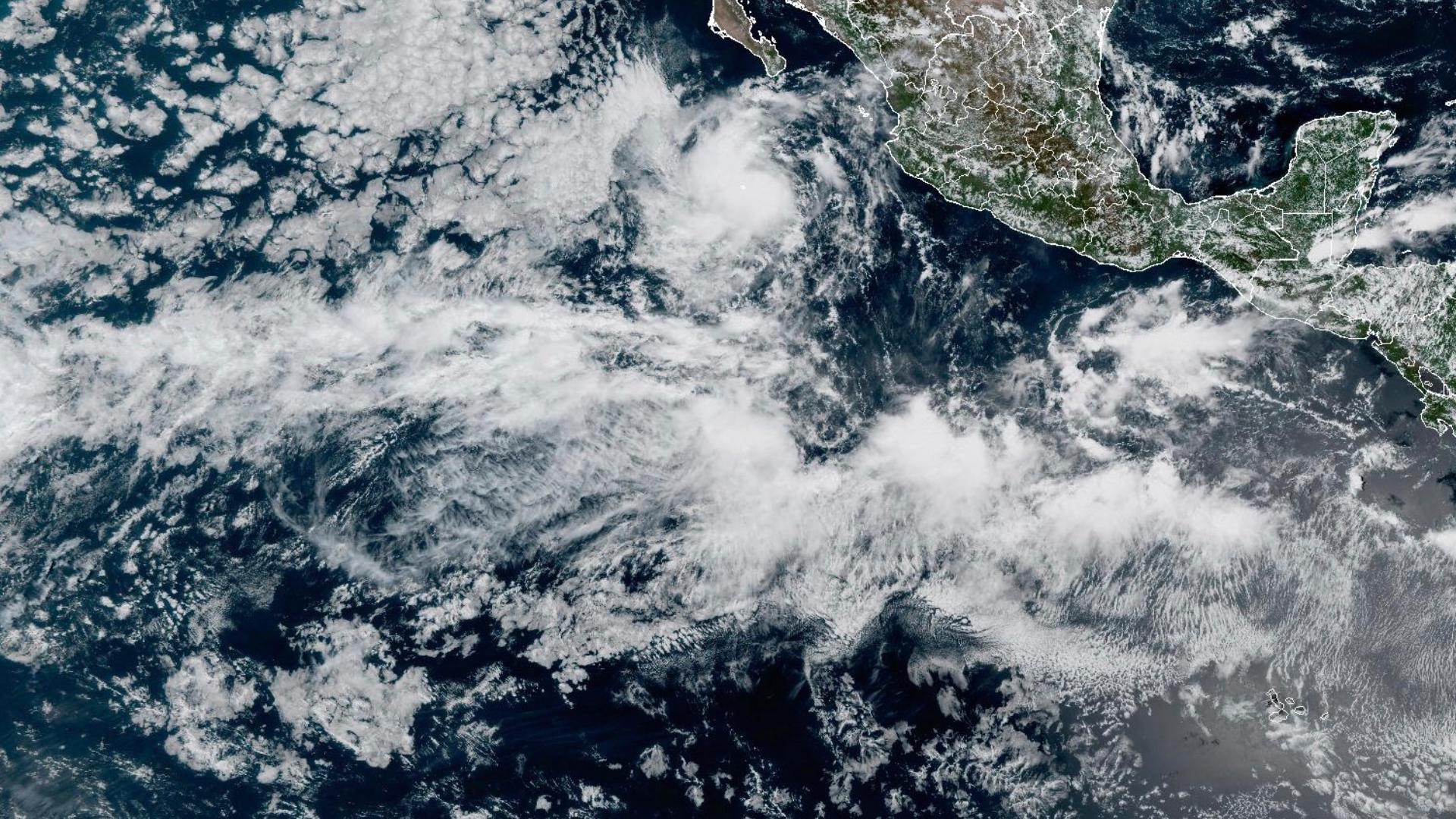 88-year-old patriarch still working at Ricker Hill Orchards ...