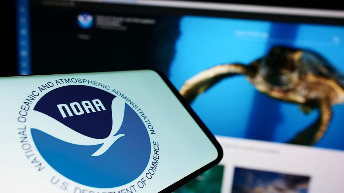 Maine's beloved 'red snapper' hot dogs won't lose color with red dye ...