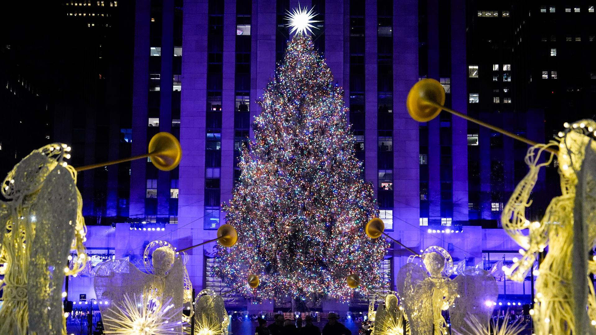 Rockefeller Center reveals this year's Christmas Tree selection ...