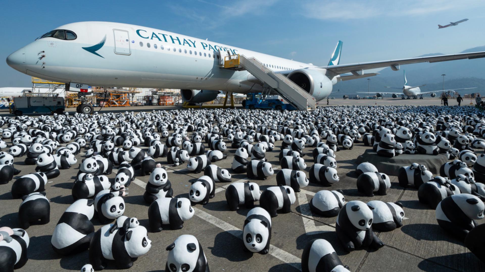 Hong Kong will display thousands of panda sculptures to capture bear ...