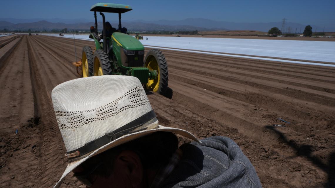 ICE raids and their uncertainty scare off workers in farm, hotel ...