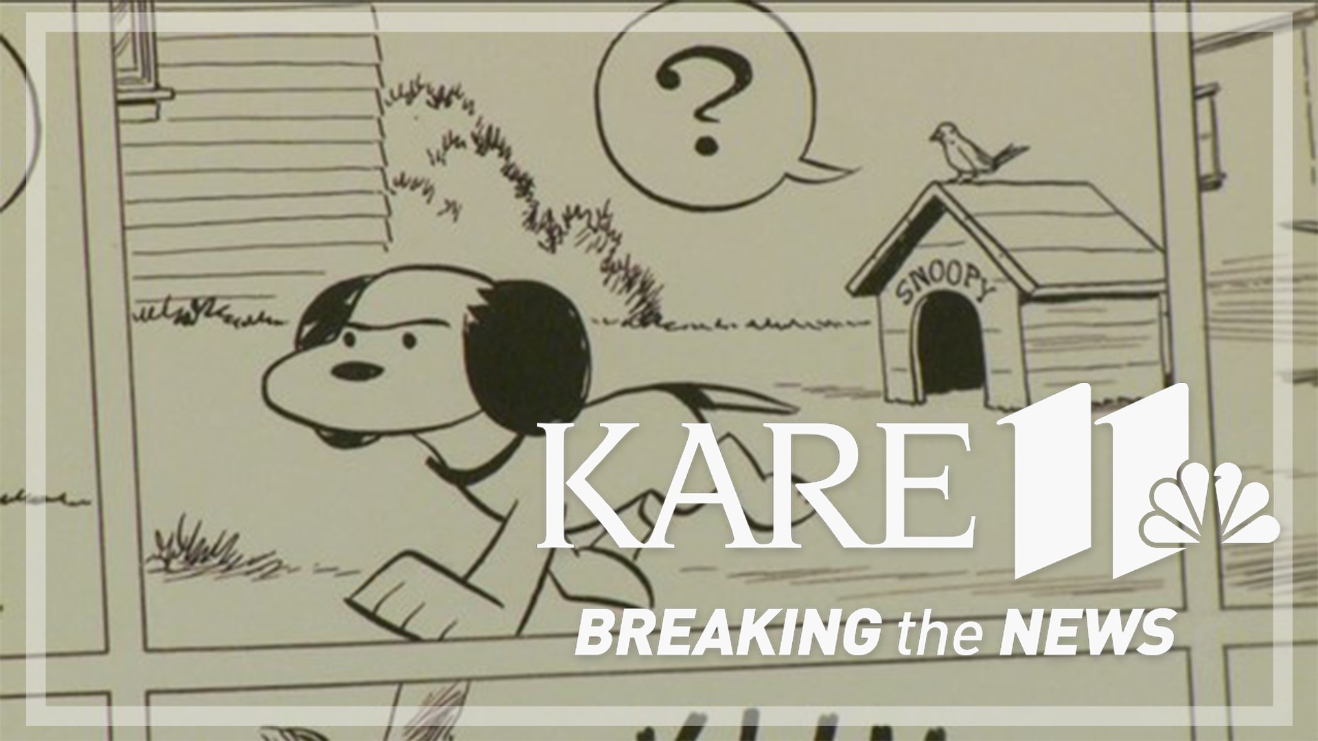 Central High School comic strips reach history museum walls ...