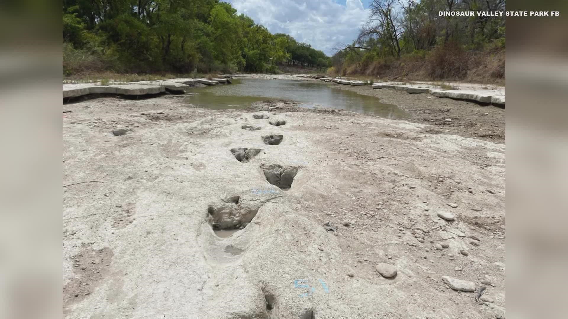 Texas extreme drought uncovers dinosaur tracks in dried riverbed ...