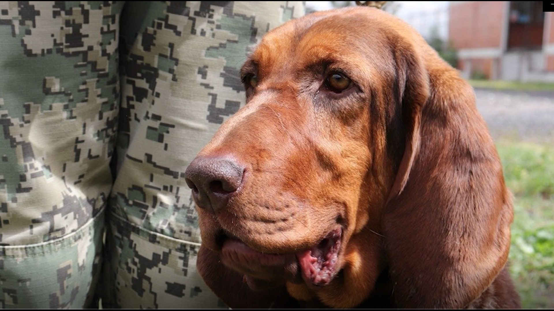 National News from NewsCenterMaine in Maine | NewsCenterMaine.com ...