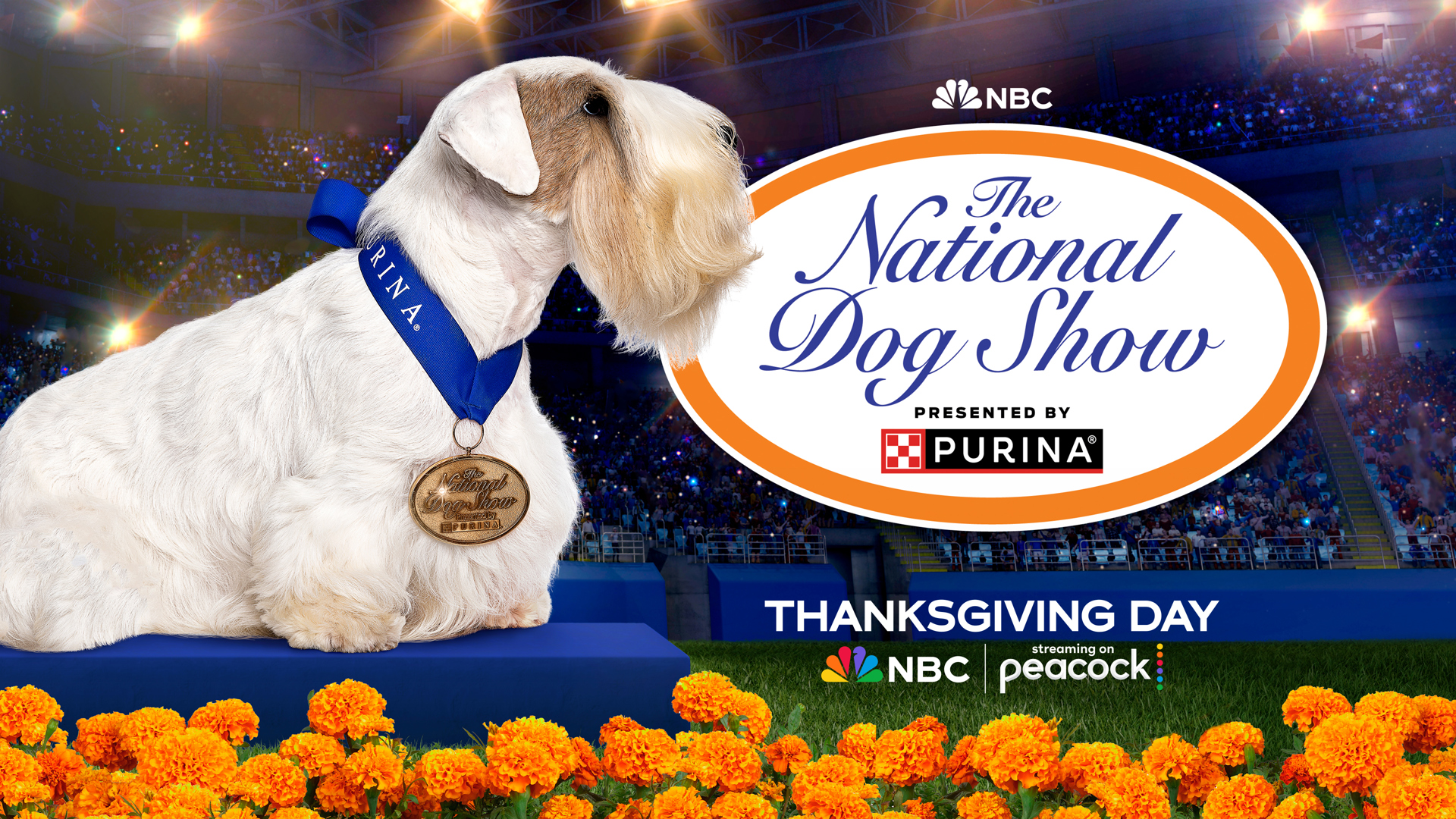 Here's the NBC holiday season TV programming schedule 2024 ...