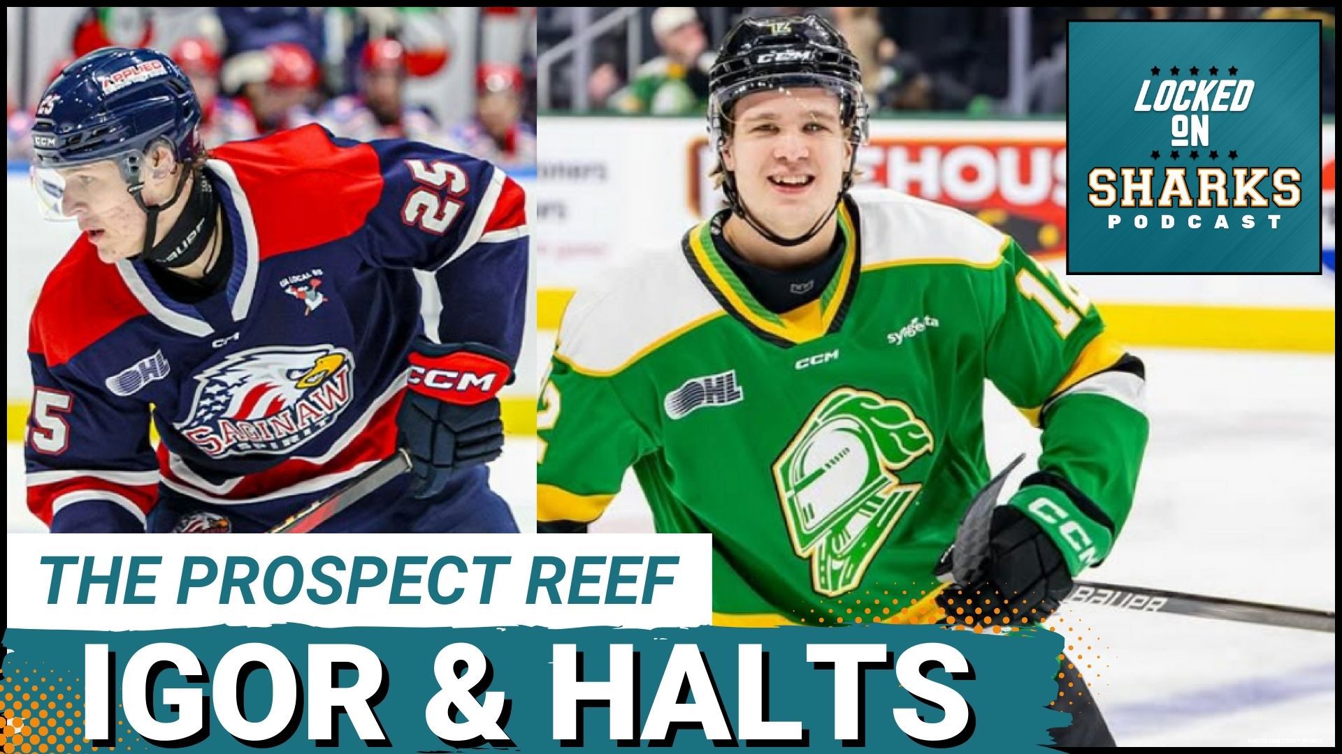 The Prospect Reef: Igor Chernyshov's OHL Development & Kasper Halttunen Rounding Into Shape ...