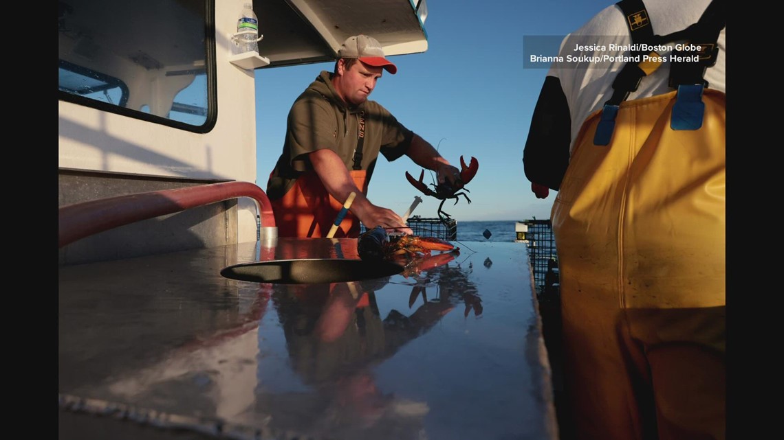 As the lobster population moves north, what will happen to Maine’s ...