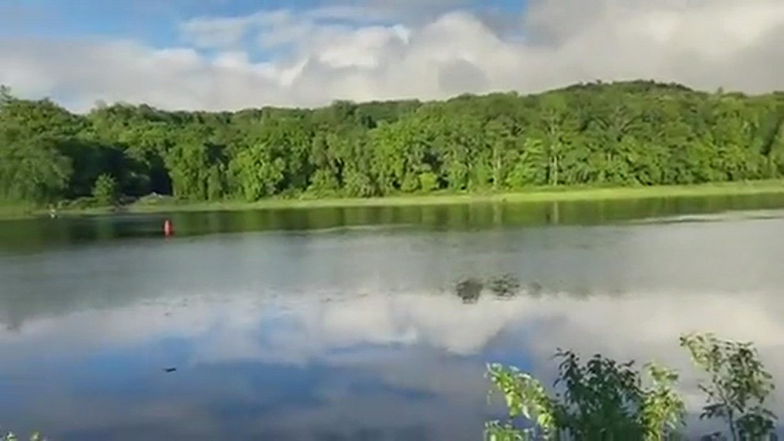 Sturgeon jumping on the Kennebec | newscentermaine.com