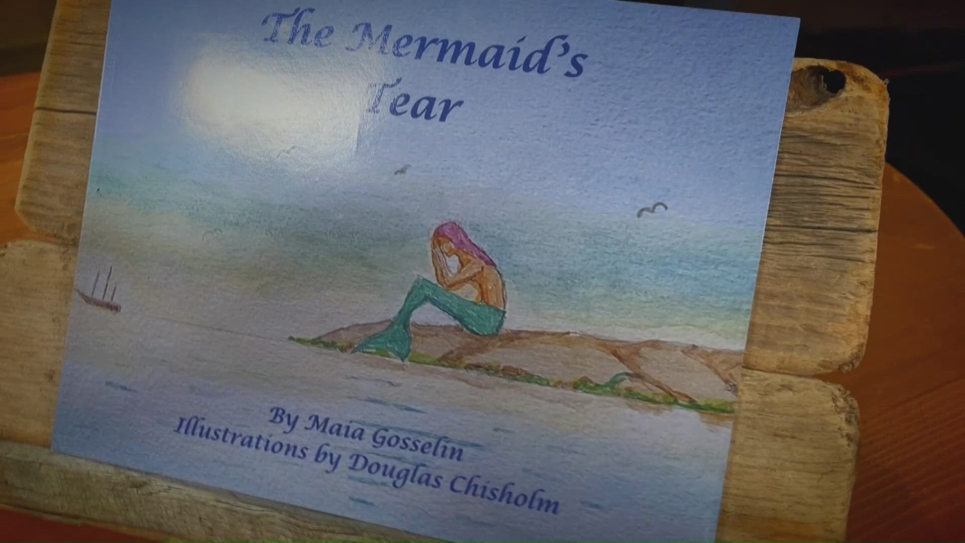 The New England coast inspired this author's first children's book ...
