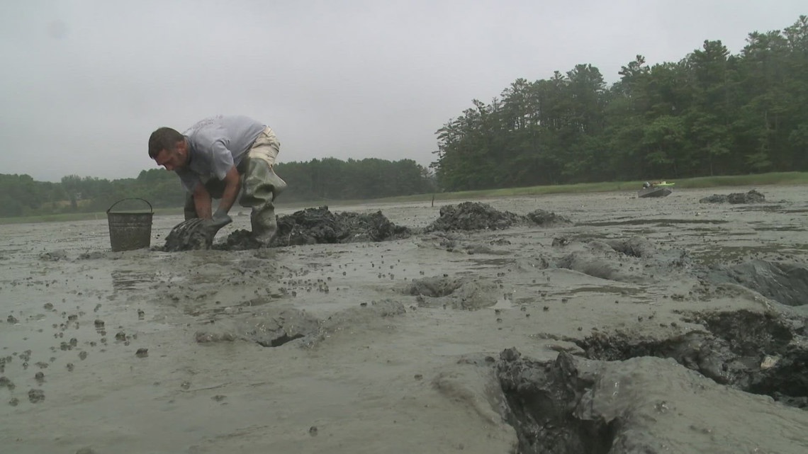 'Stuck in the Mud' | A book about Maine's clamming history ...