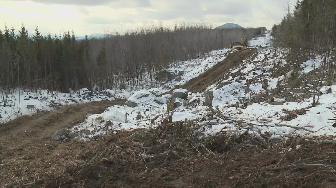 CMP corridor referendum law could see first court ruling soon ...