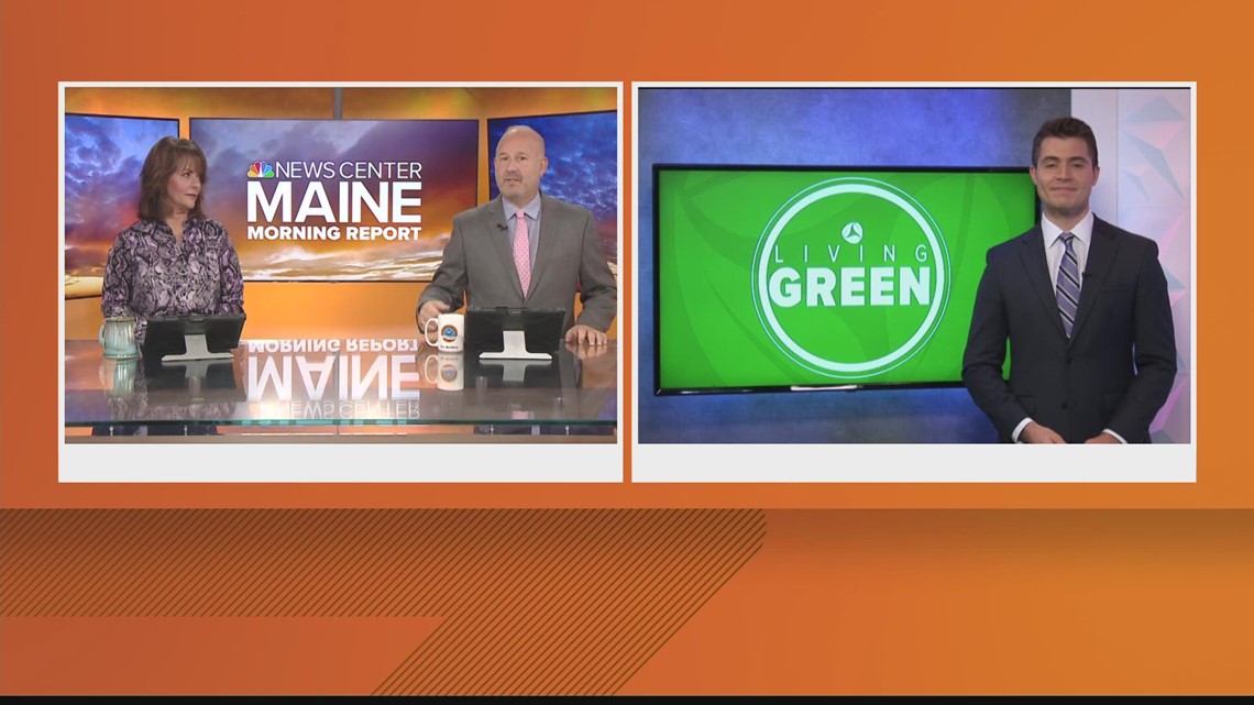 NEWS CENTER Maine's Alex Haskell is relocating from Bangor to our ...