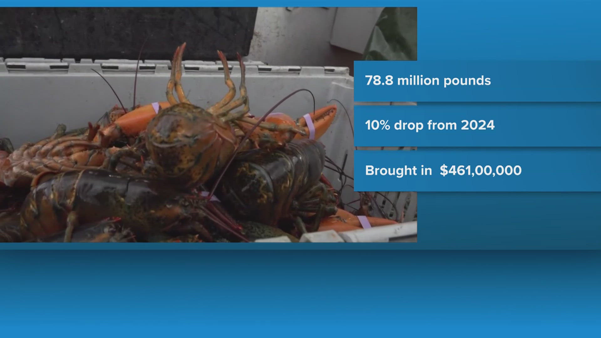 Maine commercial fisheries topped $600M in 2025, led by the lobster ...
