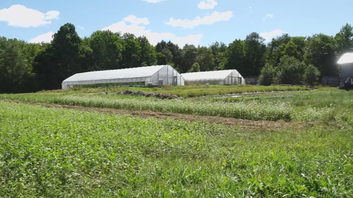 Federal funding cuts force tough decisions for Maine farming community ...