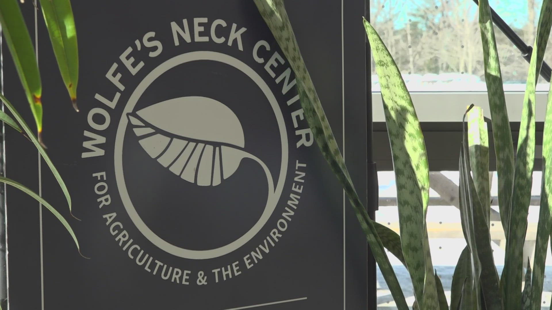 Wolfe’s Neck Center in Freeport feels impacts of Trump's federal funding freeze ...