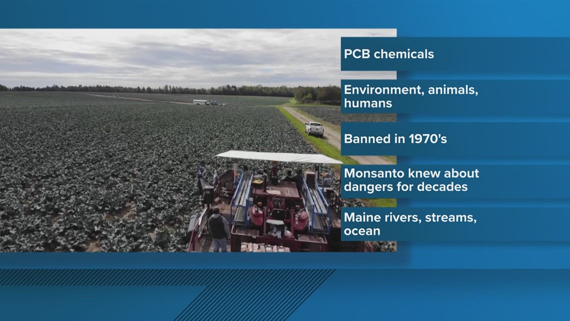 Maine attorney general opens lawsuit against Monsanto over PCB ...