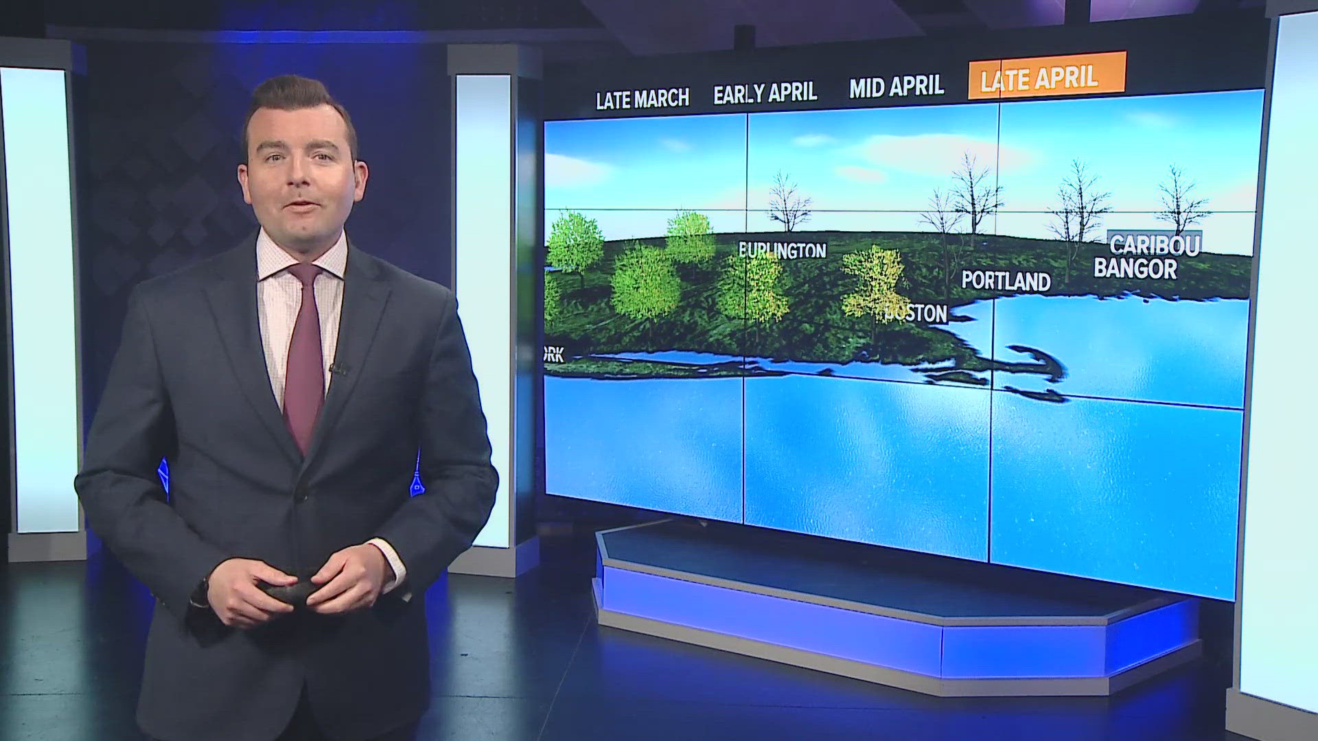 Explaining the different phases of pollen season, and how they impact ...