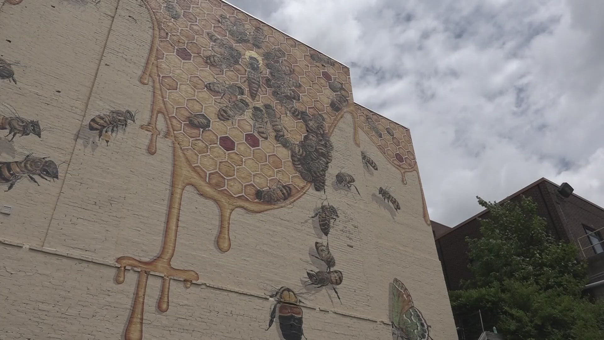 Bangor to host first 'Maine Honey Fest' this summer | newscentermaine.com