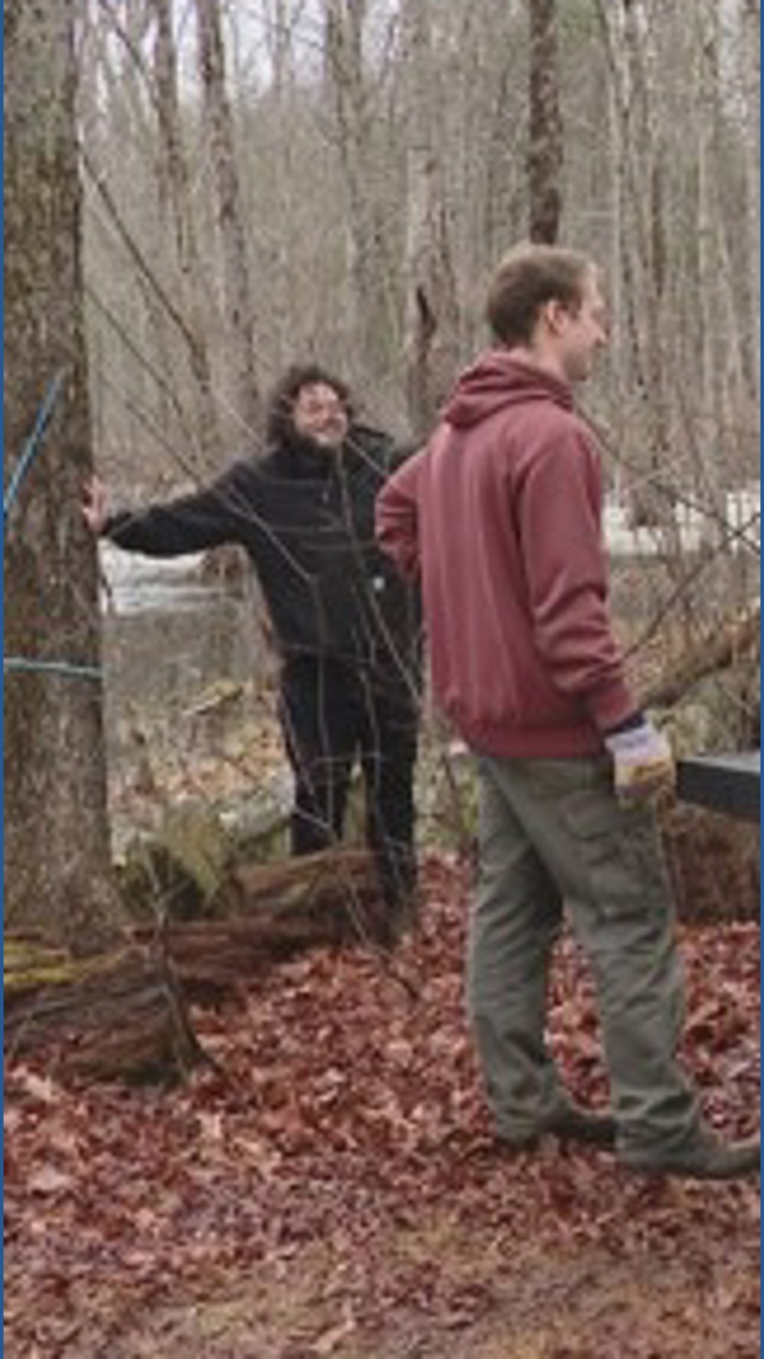 University of New Hampshire class sparking interest in forestry careers ...
