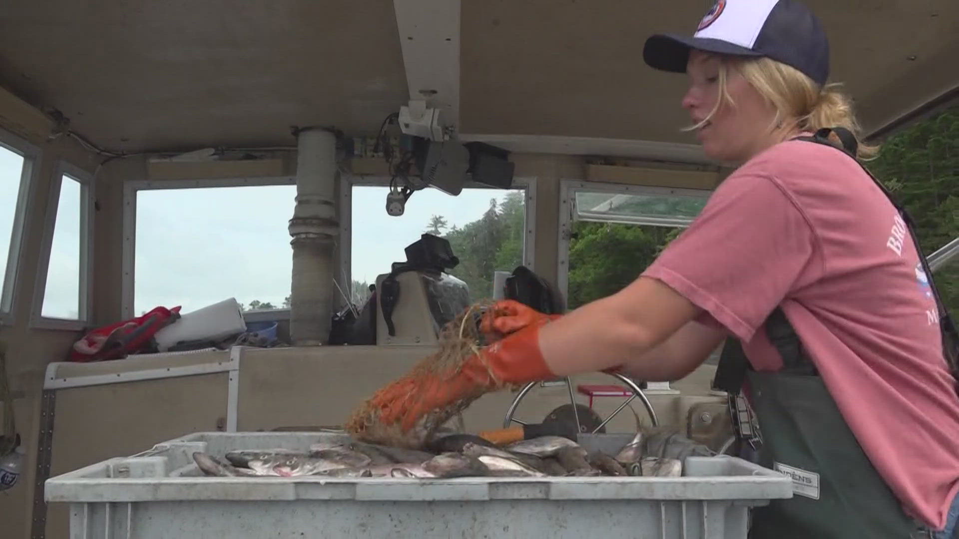 New commercial fishing coalition casts wide net to support next ...