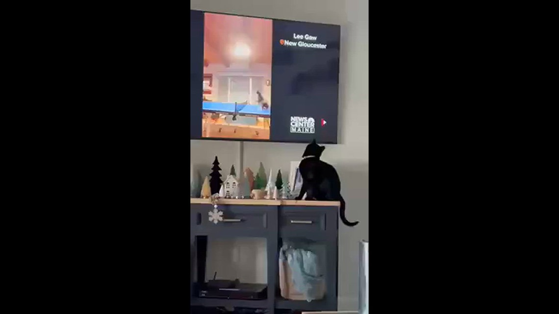 Nori loves NCM | newscentermaine.com