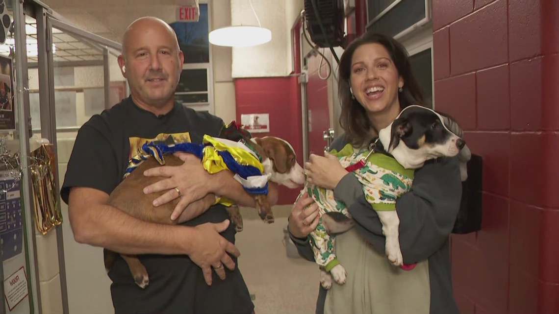 Amanda Hill and Lee Goldberg raising money for shelter pets during ...