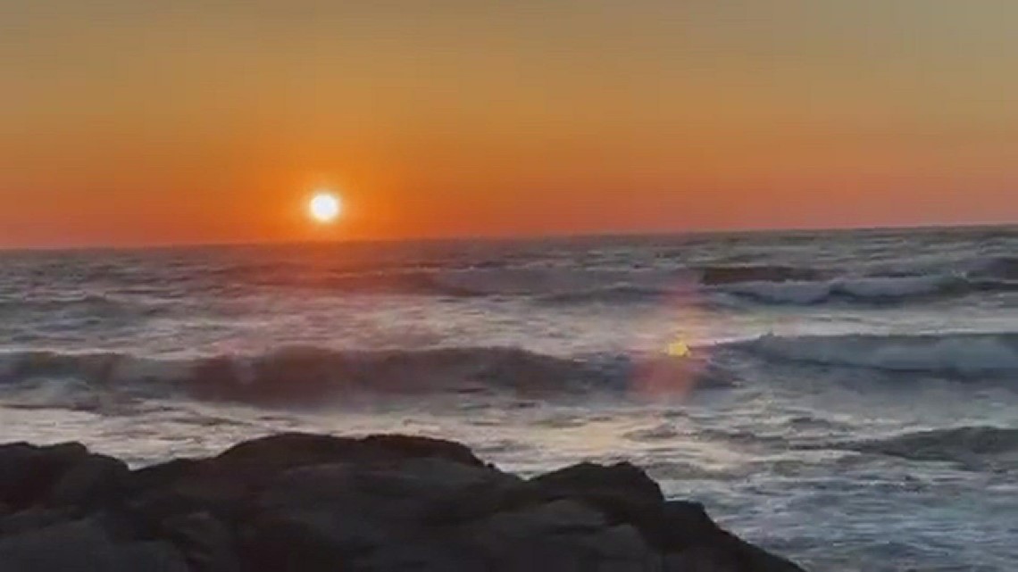 Tree stump in Stephen King's yard is turned into artwork ...