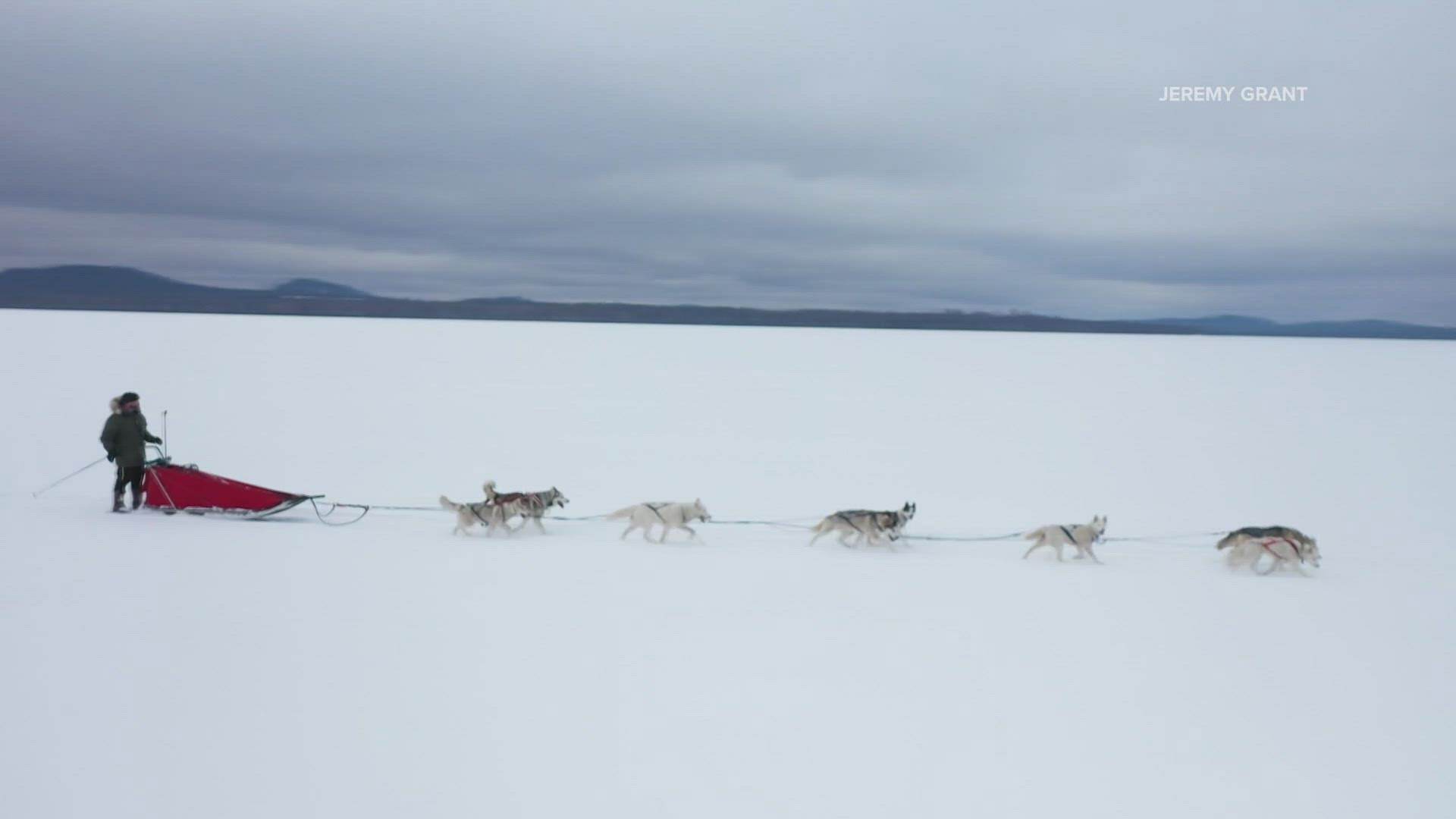 Maine musher and team gear up for 700-mile trek across Alaska ...