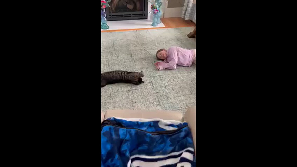 Do What I Do Avery… | newscentermaine.com