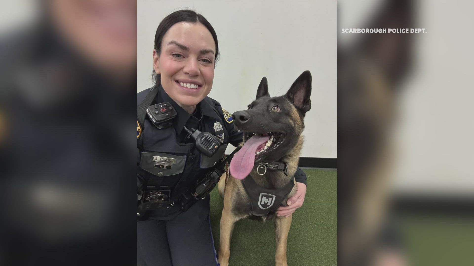 Scarborough police add four-legged member to the force ...