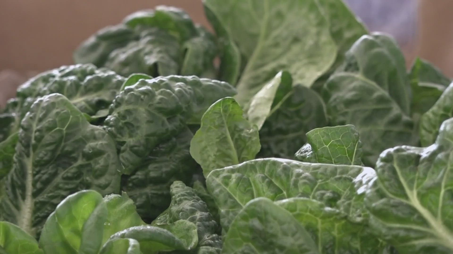 SNAP-Ed ends: Loaves and Fishes steps up with free cooking classes ...