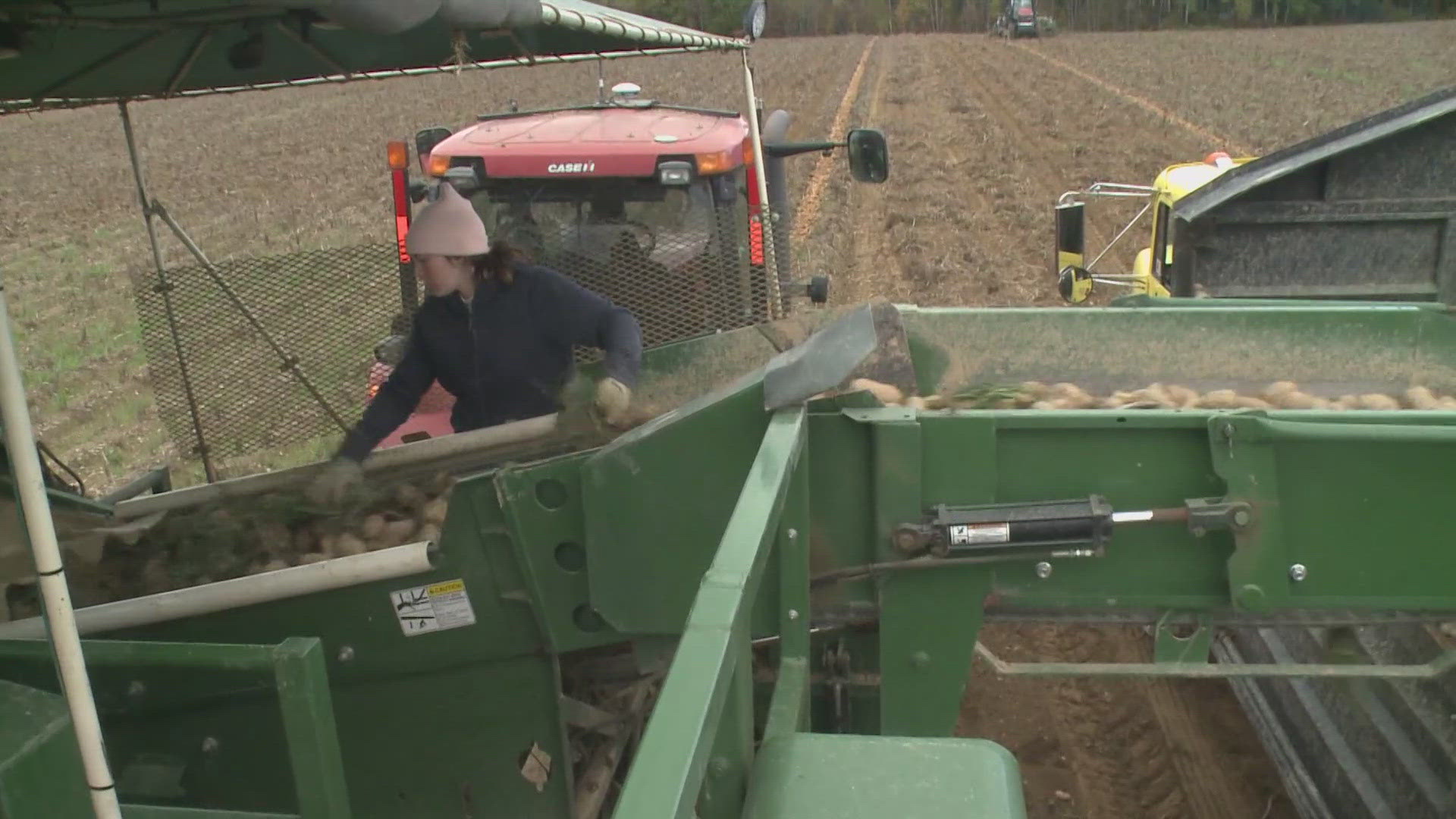 McCain Foods to acquire major Maine potato producer Penobscot McCrum ...