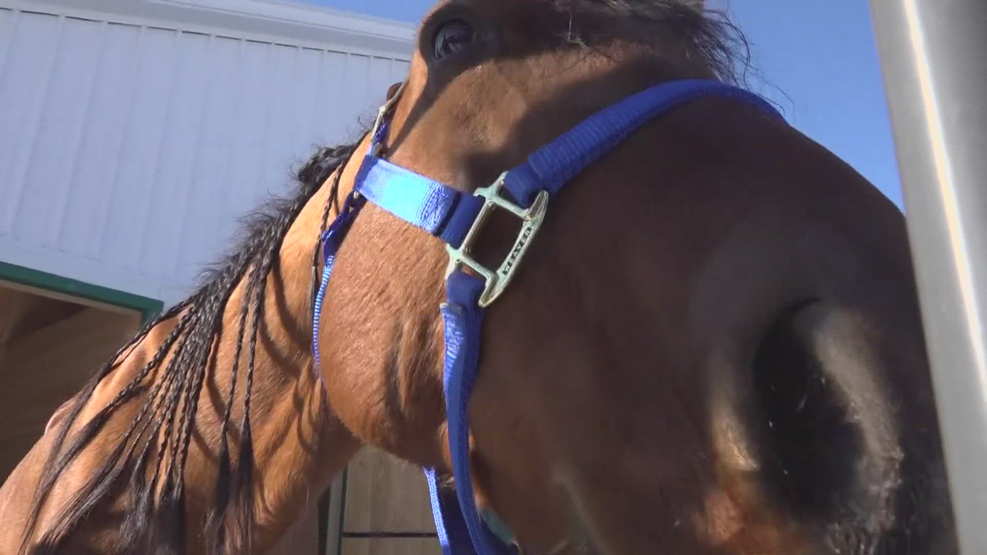 2 injured in shooting involving federal agents in Oregon ...