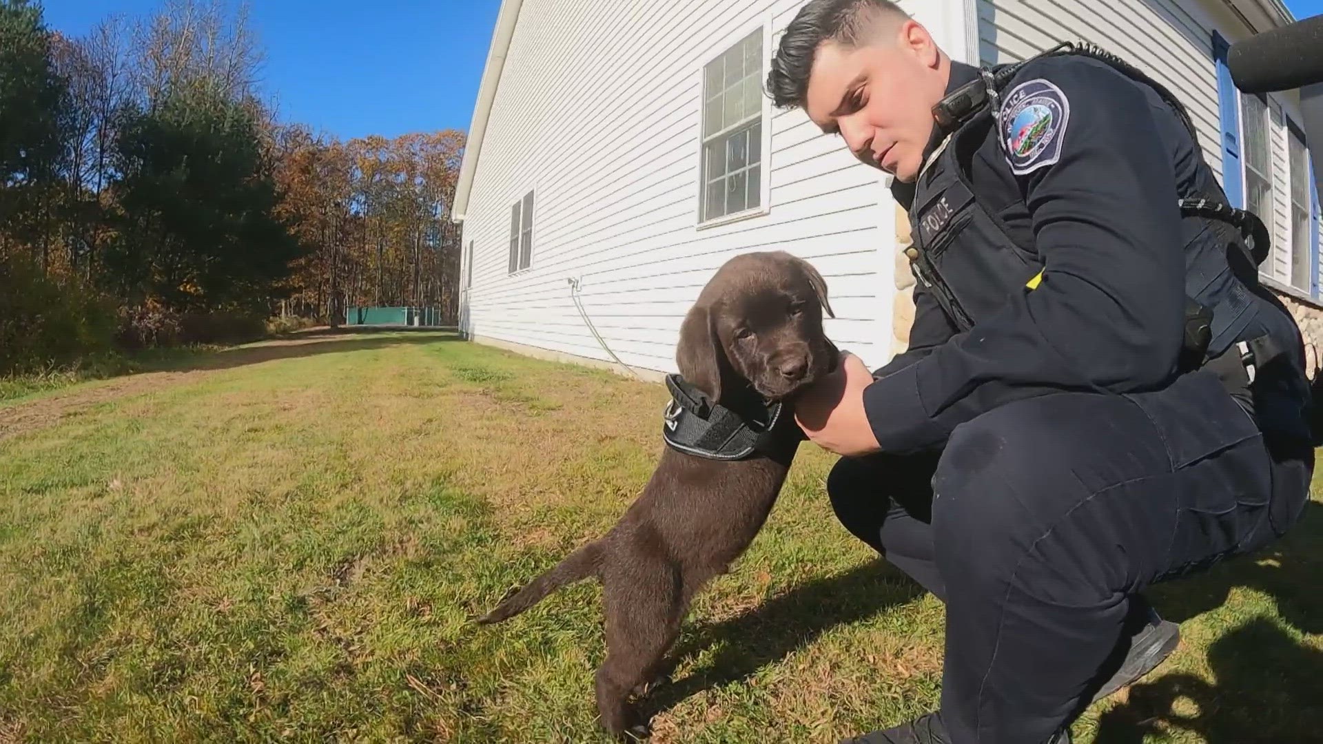 York police officers welcome latest four-legged recruit ...
