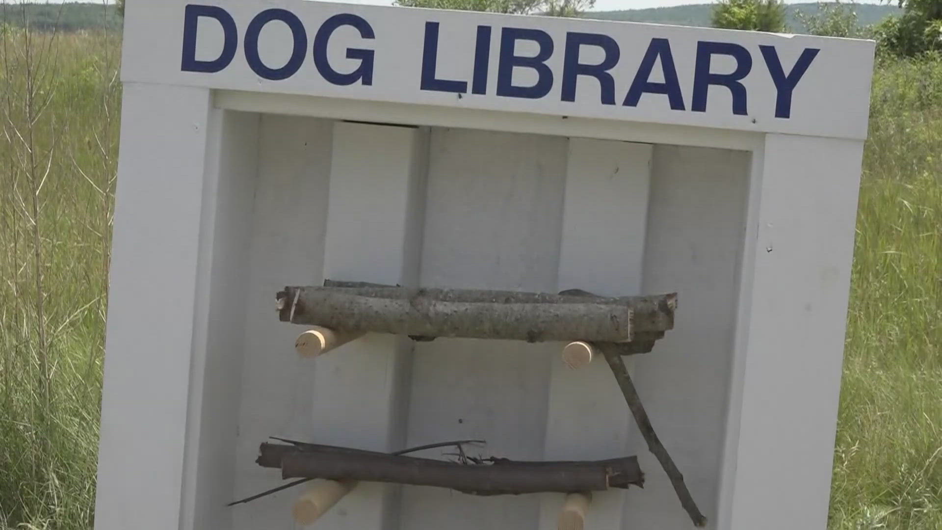 Stockton Springs launches 'Dog Library' at Sandy Point Beach ...