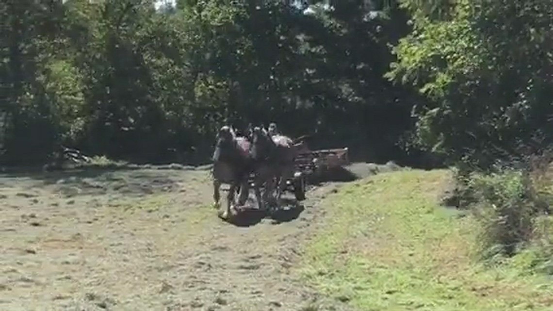 On a beautiful fall like day | newscentermaine.com