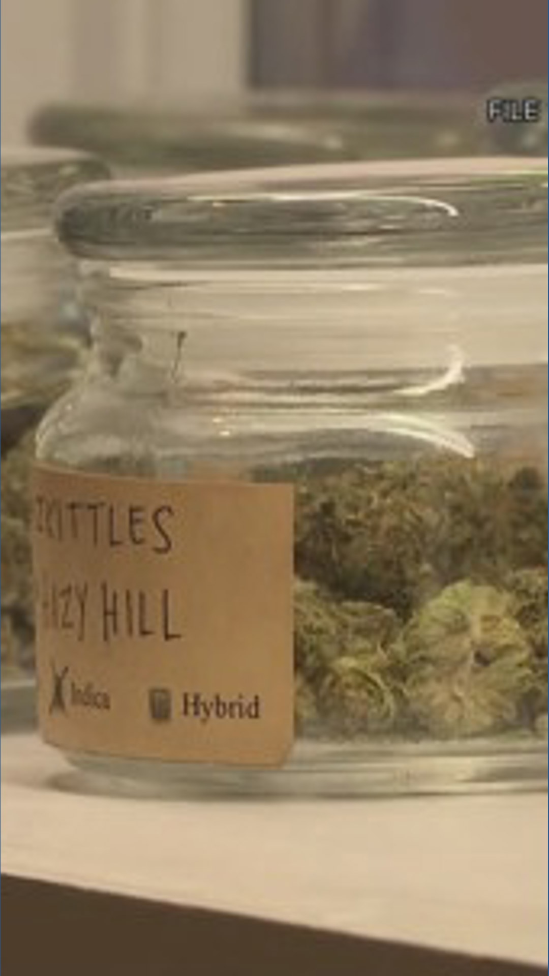 Group aims to repeal recreational cannabis program in Maine with 2026 ...