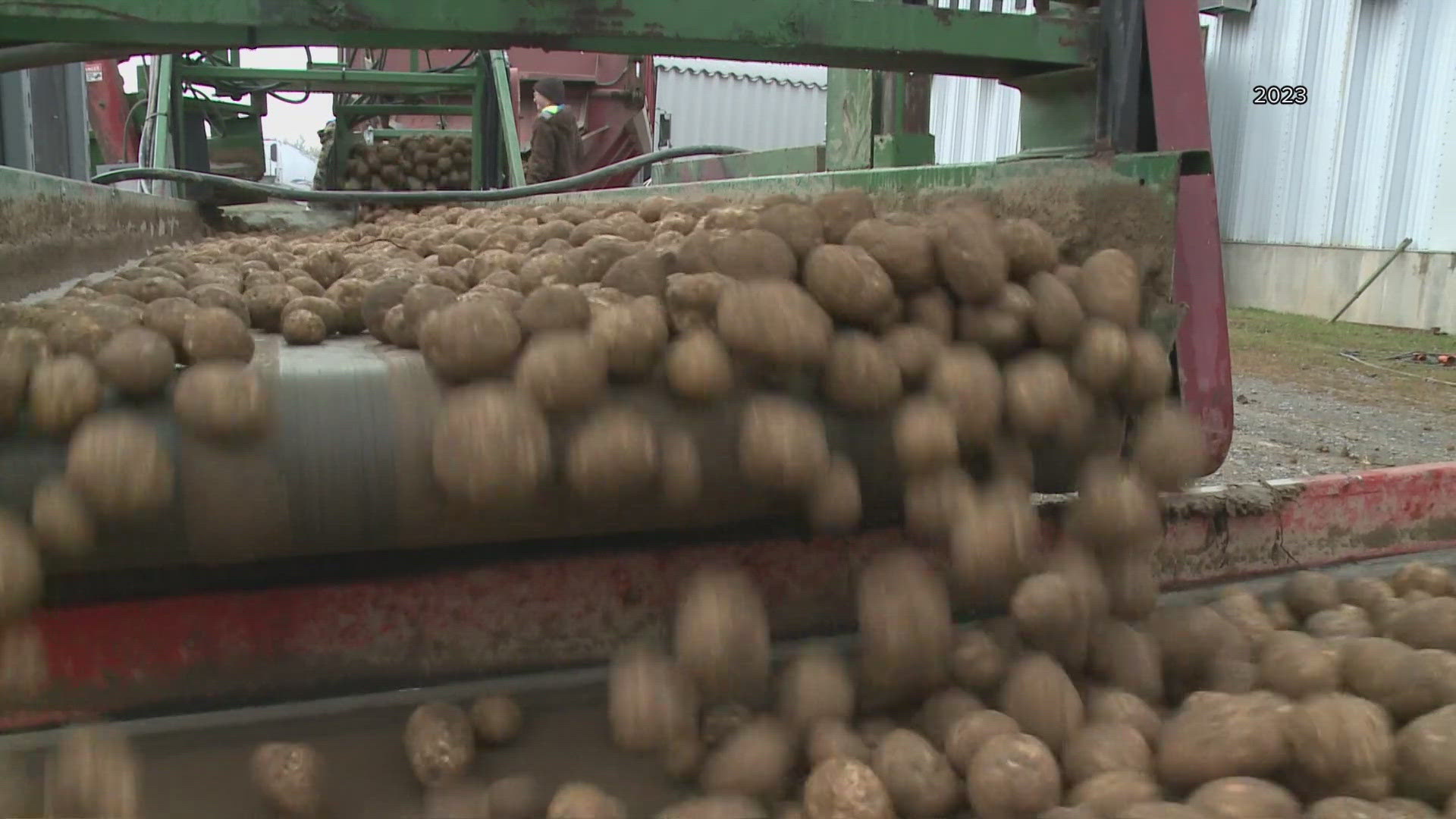 Happy National Potato Day to the simple spud that's a big deal in Maine ...