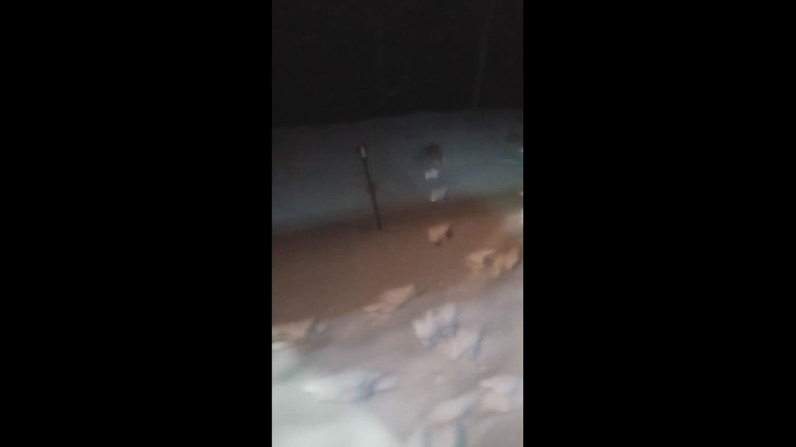 Snow romp at night. It's my birthday! | newscentermaine.com
