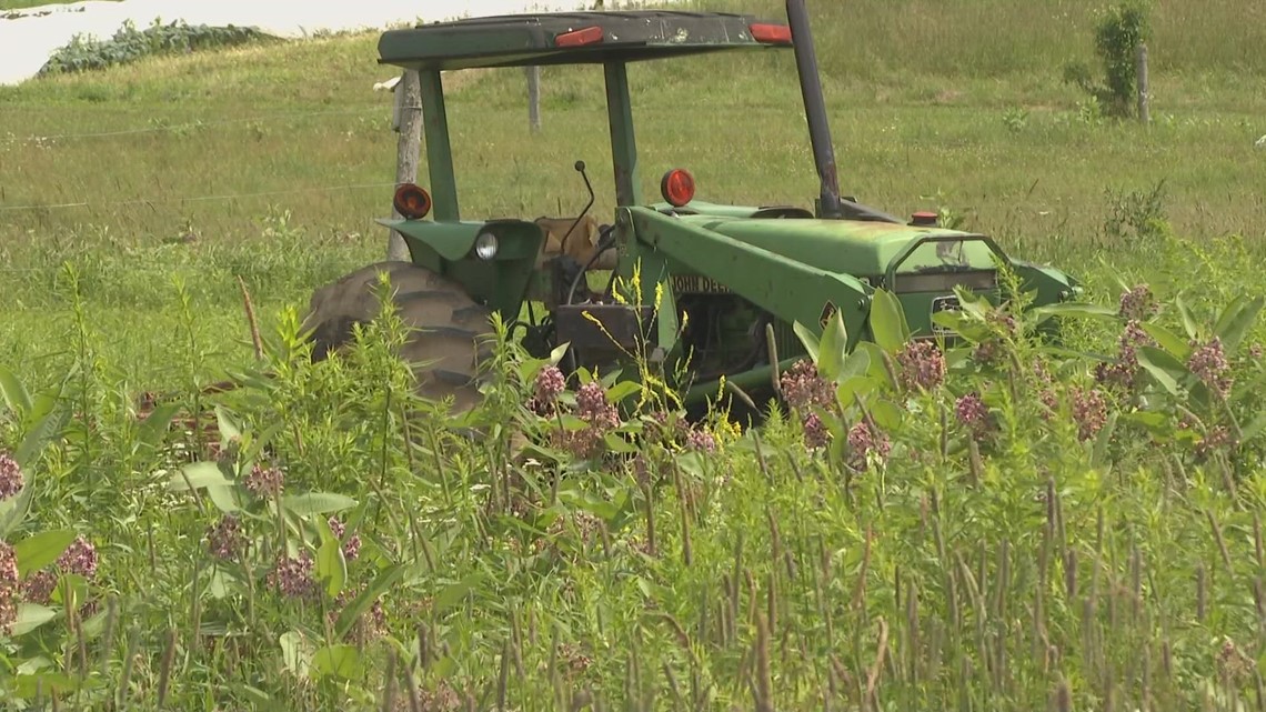 Maine seeks renewable energy projects on PFAS-contaminated farmland ...