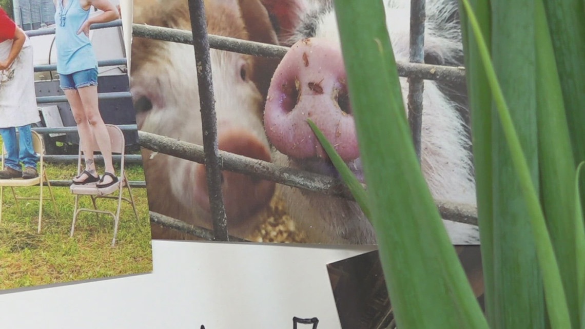 Farmers educate Mainers about their work during 'Open Farm Day ...