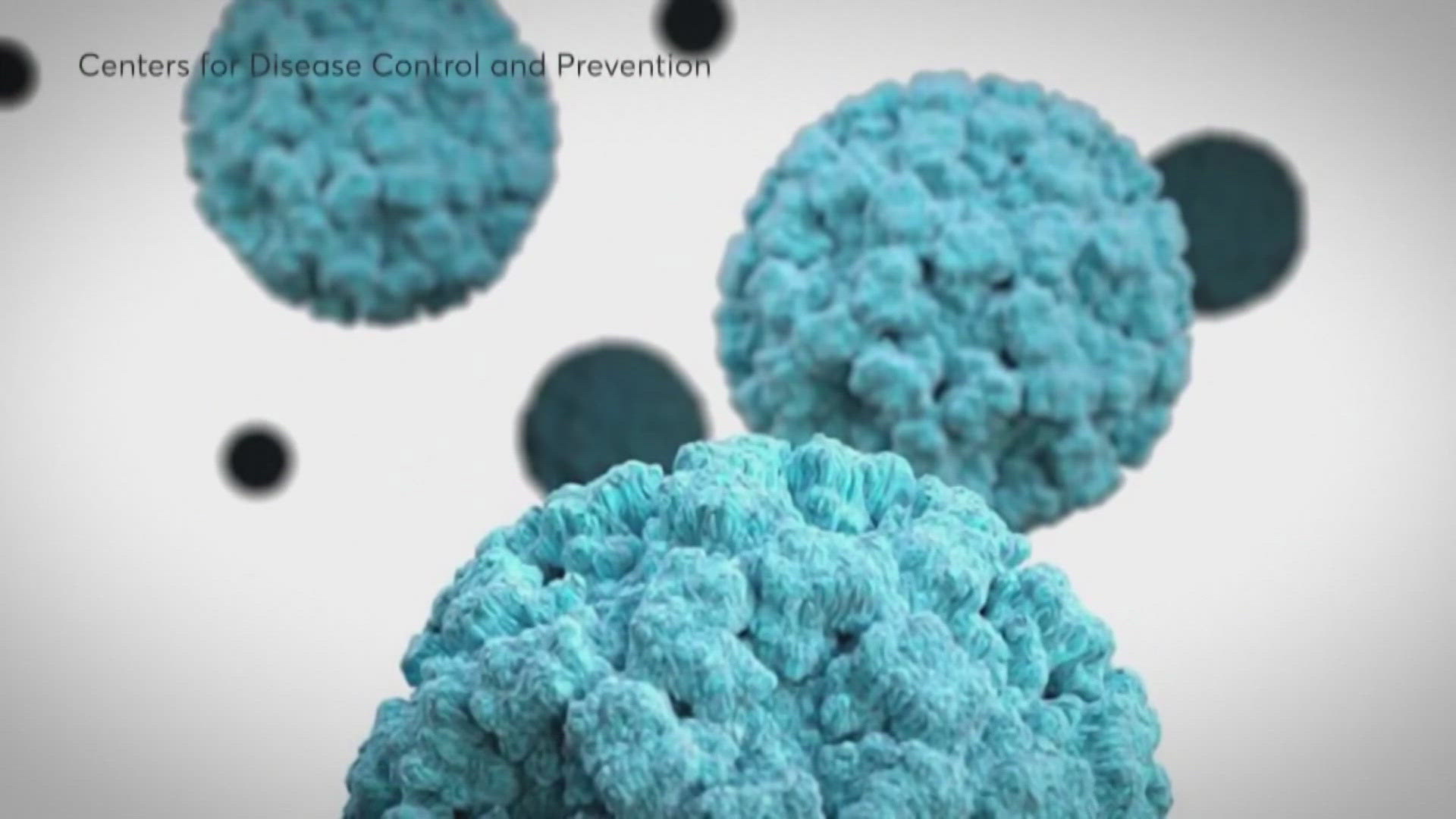 CDC reports rise in Norovirus cases | newscentermaine.com