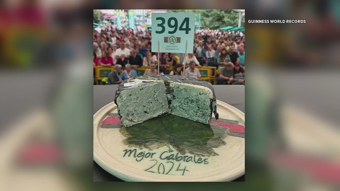 New record for the most expensive cheese | newscentermaine.com