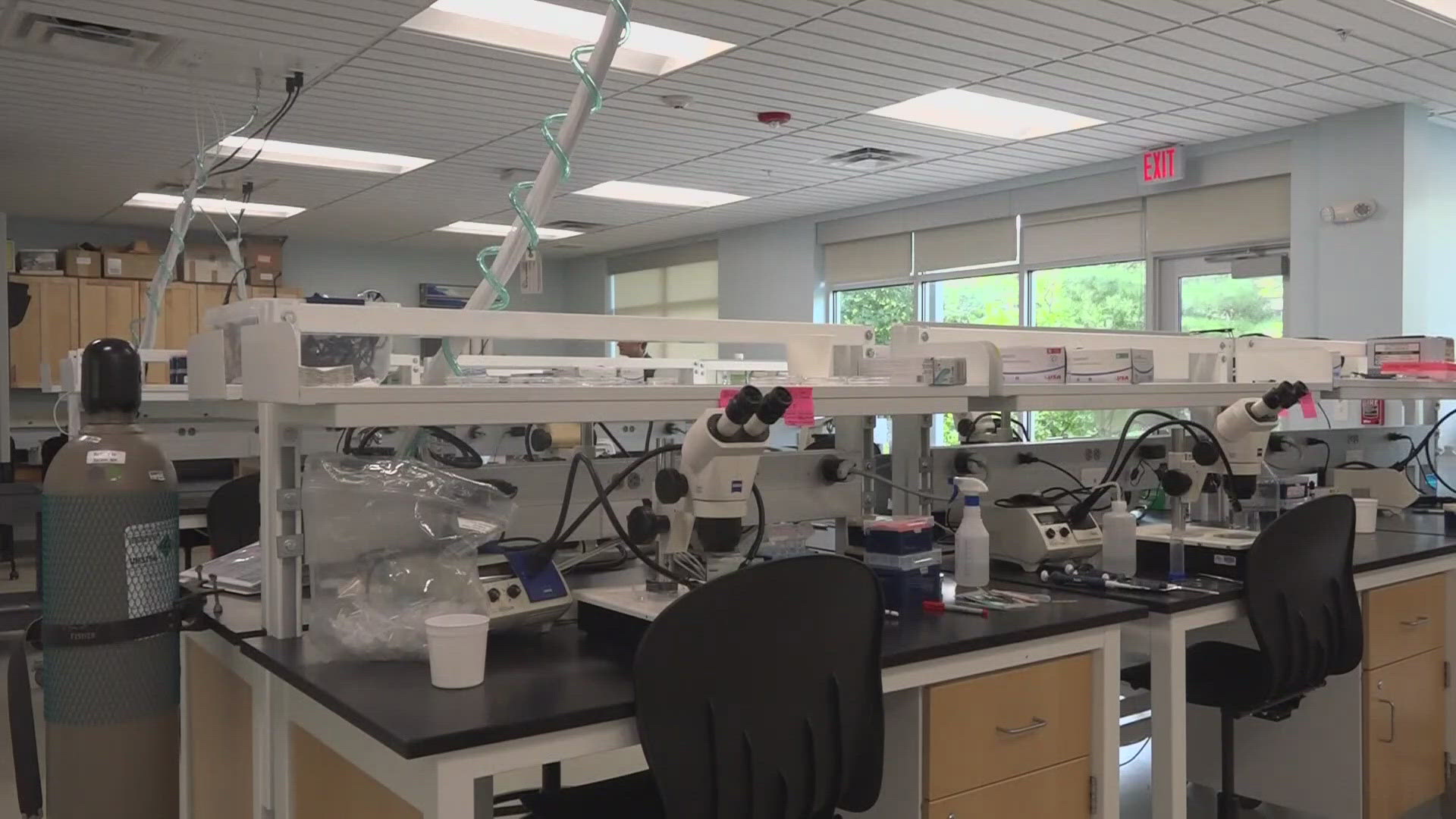 Maine labs and research centers risk losing millions in NIH funding ...