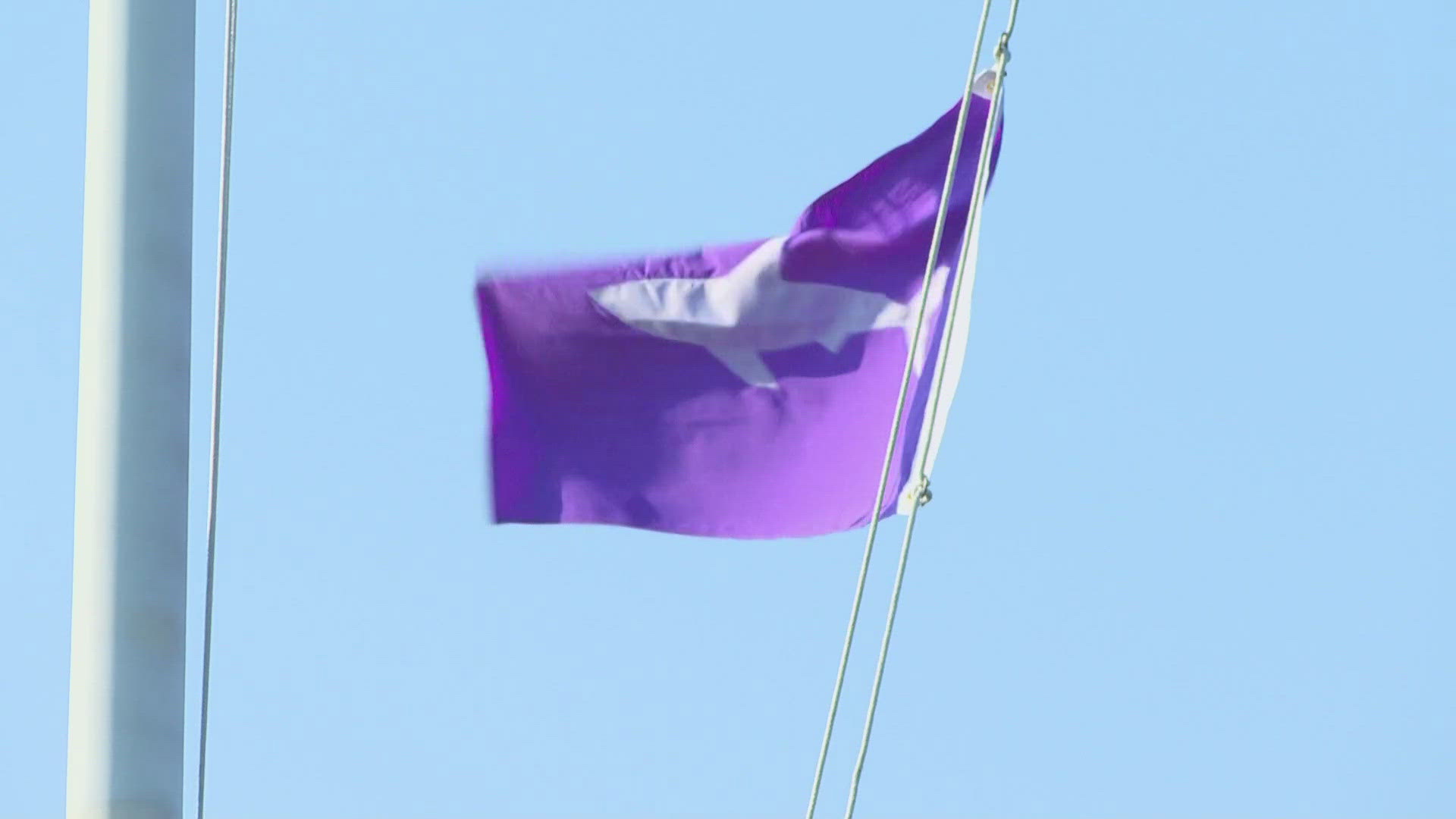 Maine shark sightings 2025: Harpswell lobsterman captures video of ...