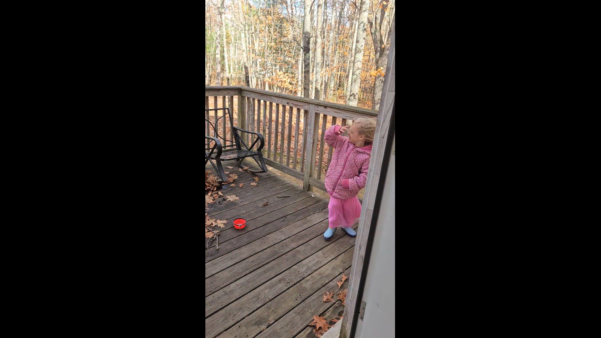 Windy day | newscentermaine.com